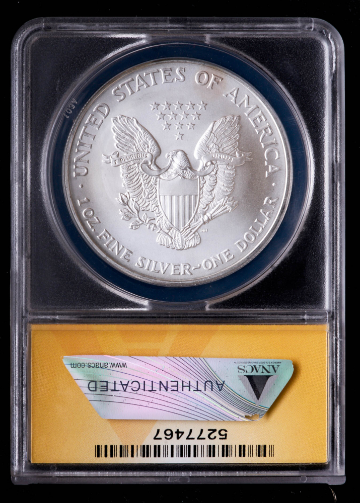 2003 American Silver Eagle $1 One Dollar Coin - Struck Through Debris ...