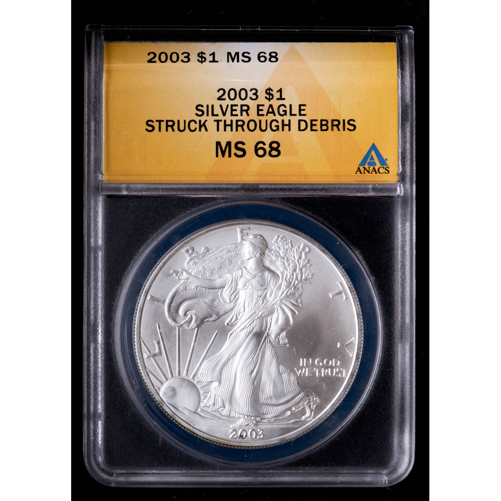2003 American Silver Eagle $1 One Dollar Coin - Struck Through Debris ...