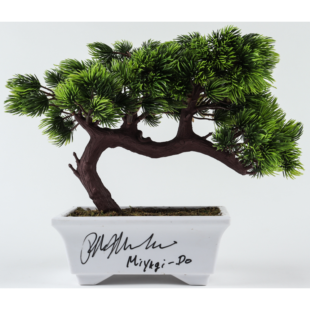 Ralph Macchio Signed "The Karate Kid" Bonsai Tree Replica Inscribed ...