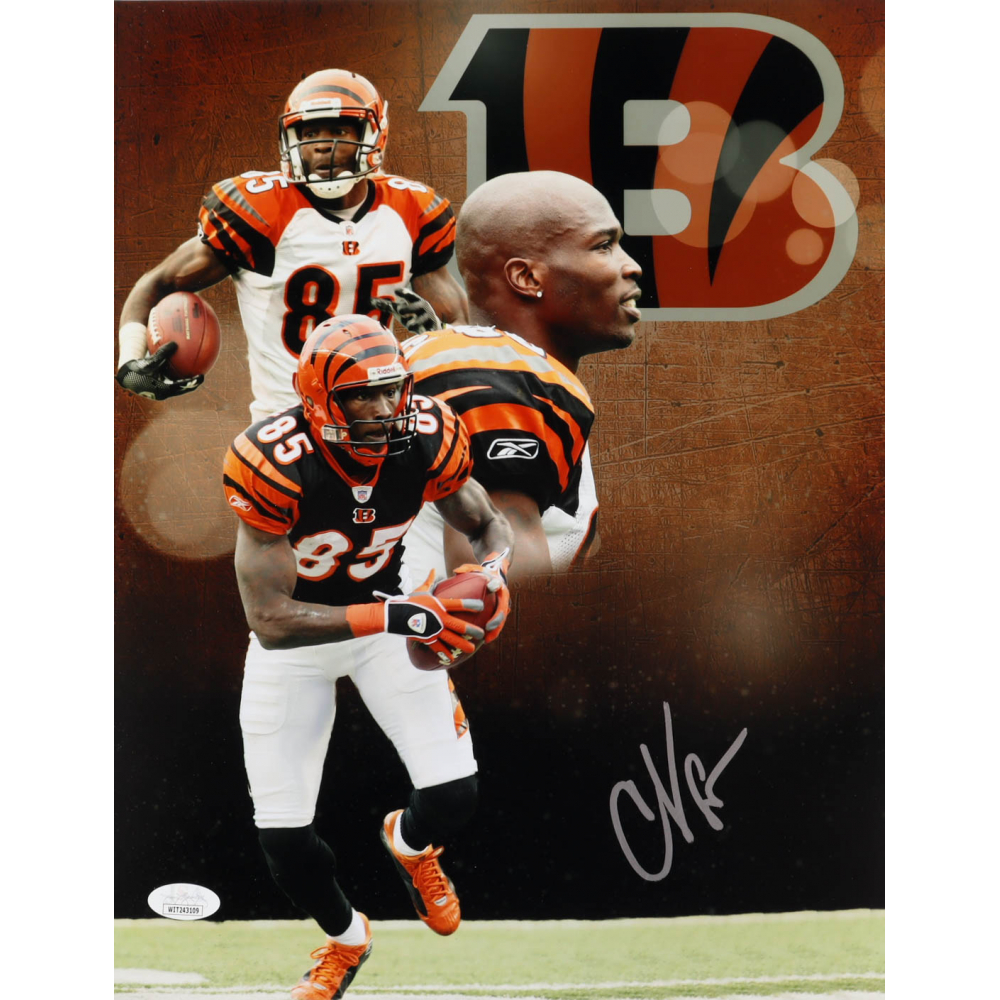 Chad "Ochocinco" Johnson Signed Cincinnati Bengals 11x14 Photo (JSA COA ...