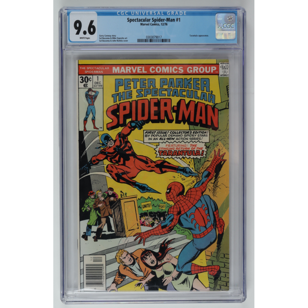 1976 "Peter Parker, The Spectacular Spider-Man" Issue #12 Marvel Comic ...