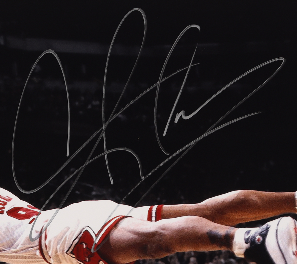 Dennis Rodman Signed Bulls 16x20 Photo (Beckett COA) | Pristine Auction