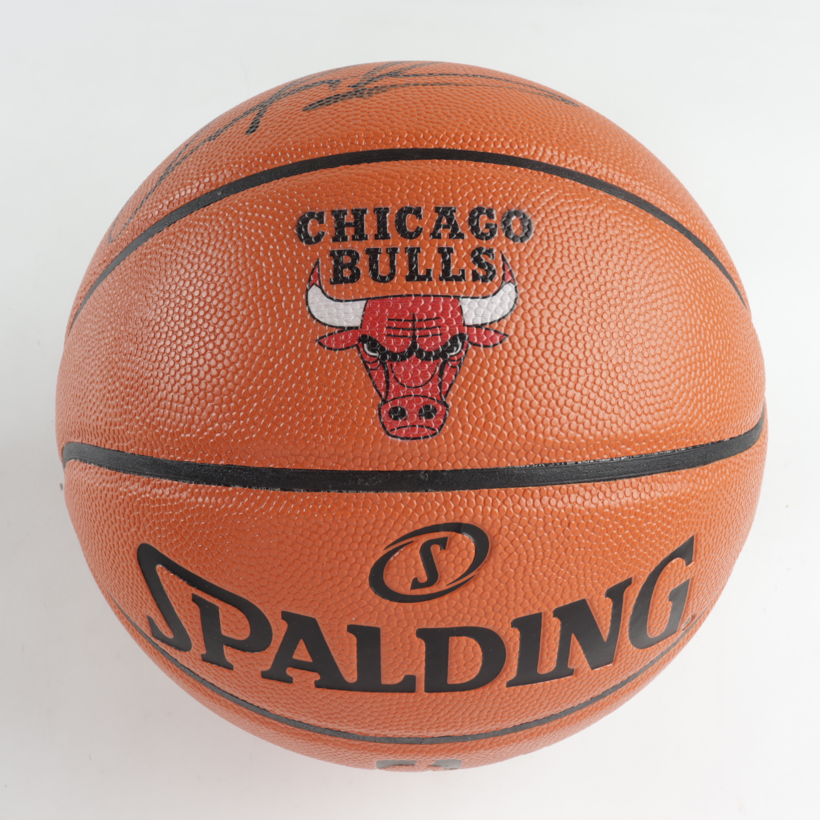 Dennis Rodman Signed Bulls Logo NBA Game Ball Series Basketball (JSA ...