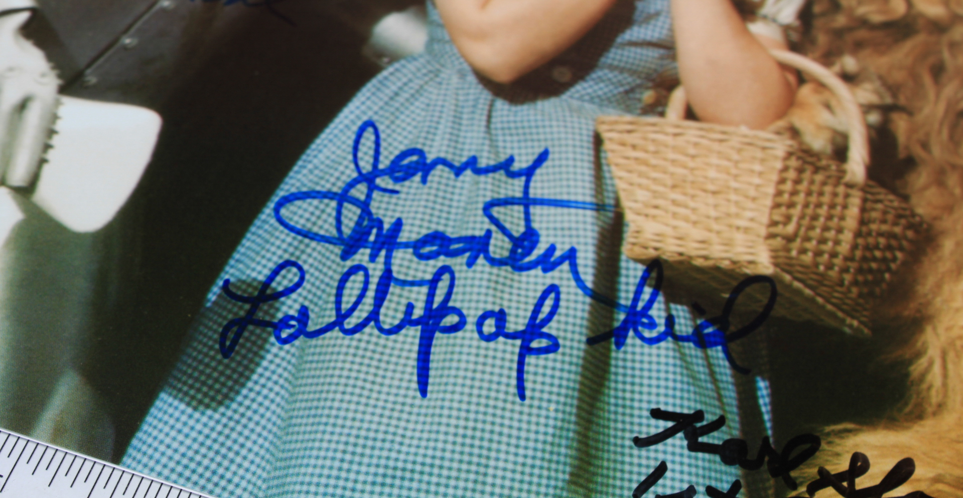 "The Wizard of Oz" 11x14 Photo Signed by (4) with Mickey Carroll, Jerry ...