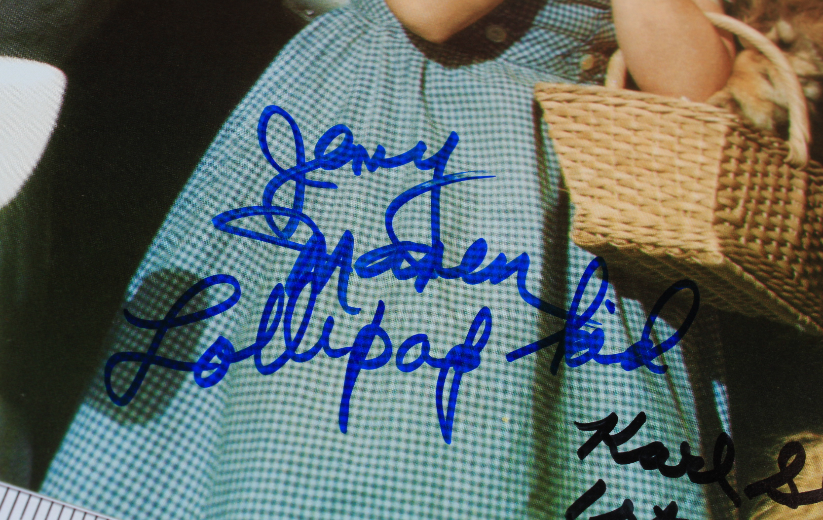 "The Wizard of Oz" 11x14 Photo Signed by (4) with Mickey Carroll, Jerry ...