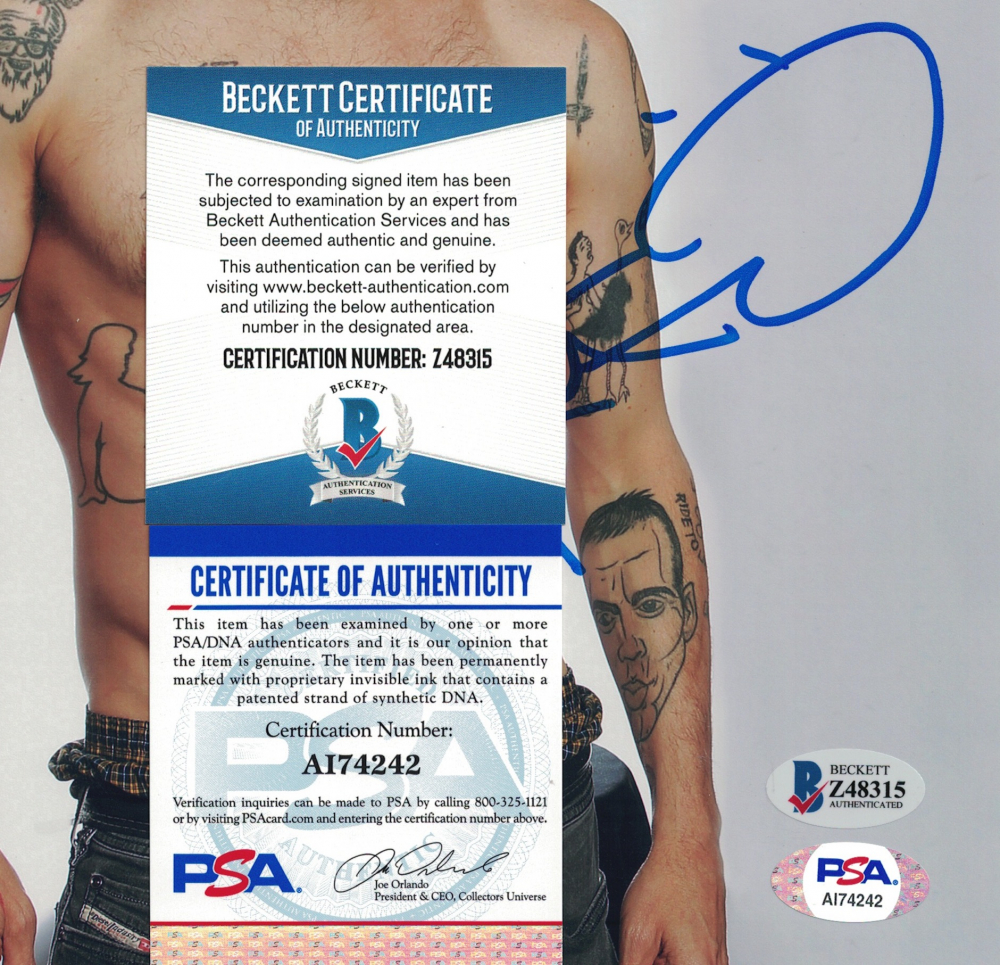 Steve-O Signed 8x10 Photo (Beckett COA) | Pristine Auction