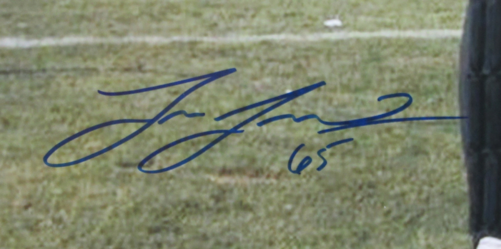 Lane Johnson Signed Eagles 16x20 Photo (JSA COA) | Pristine Auction