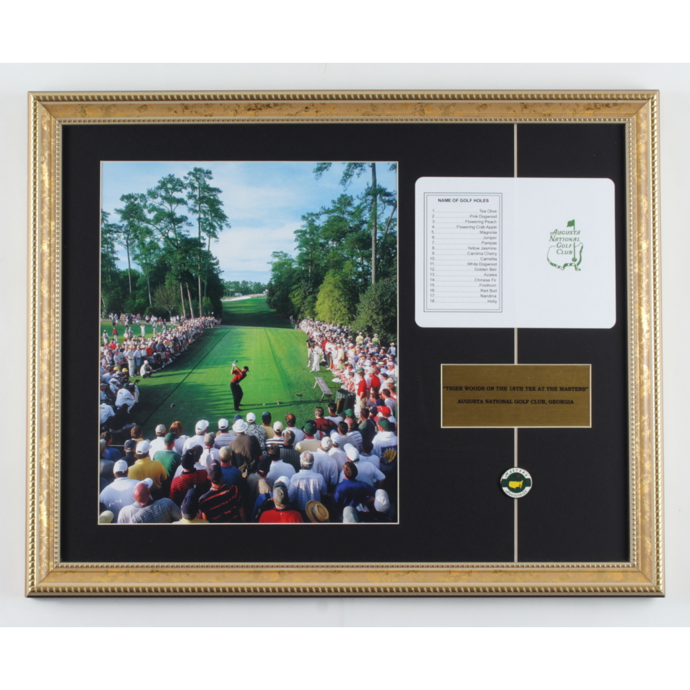 2005 Masters Champion 16x20 Custom Framed Photo Display with (1 ...