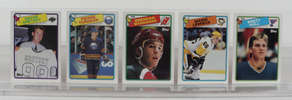 1988-89 Topps Complete Set of (198) Hockey Cards with #120 Wayne Gretzky Sweater, #66 Brett Hull ...