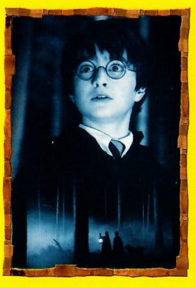 2001 Harry Potter Panini Philosopher's Stone Mystery Box | Pristine Auction