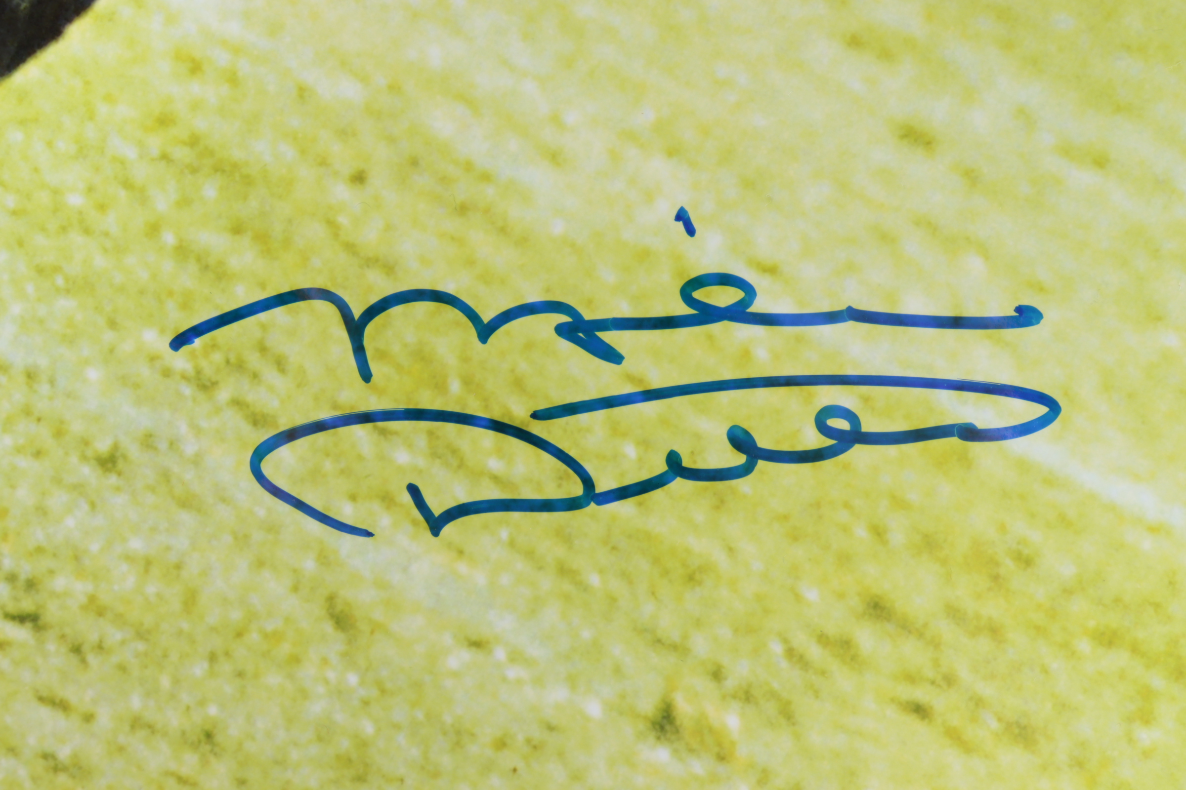 Mike Ditka Signed Bears 16x20 Photo (Beckett) | Pristine Auction