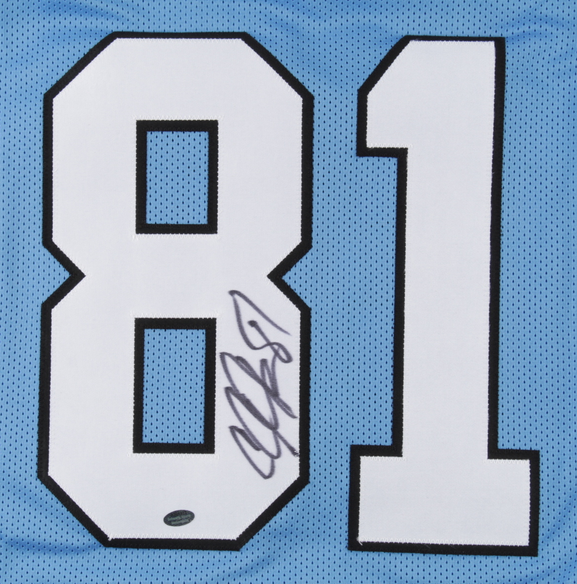 Calvin Johnson Signed Jersey (Schwartz COA) | Pristine Auction