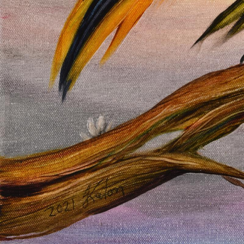 Martin Katon Signed "Baltimore Oriole Pair" 20x24 Original Oil Painting ...