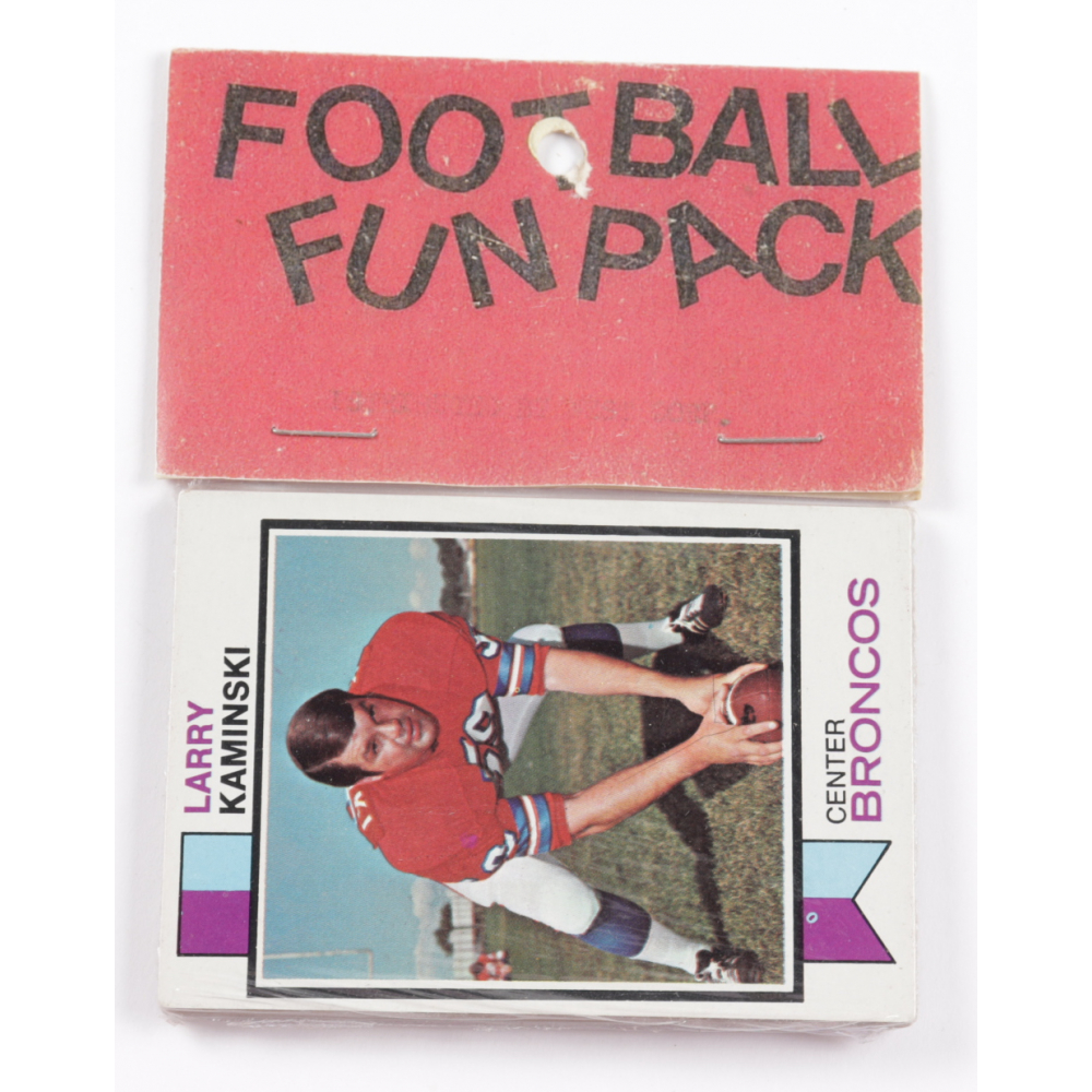 1973 Topps Football Card Fun Pack with (10) Cards | Pristine Auction