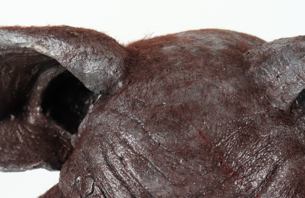 Kevin Eastman Signed "Teenage Mutant Ninja Turtles" - Master Splinter ...