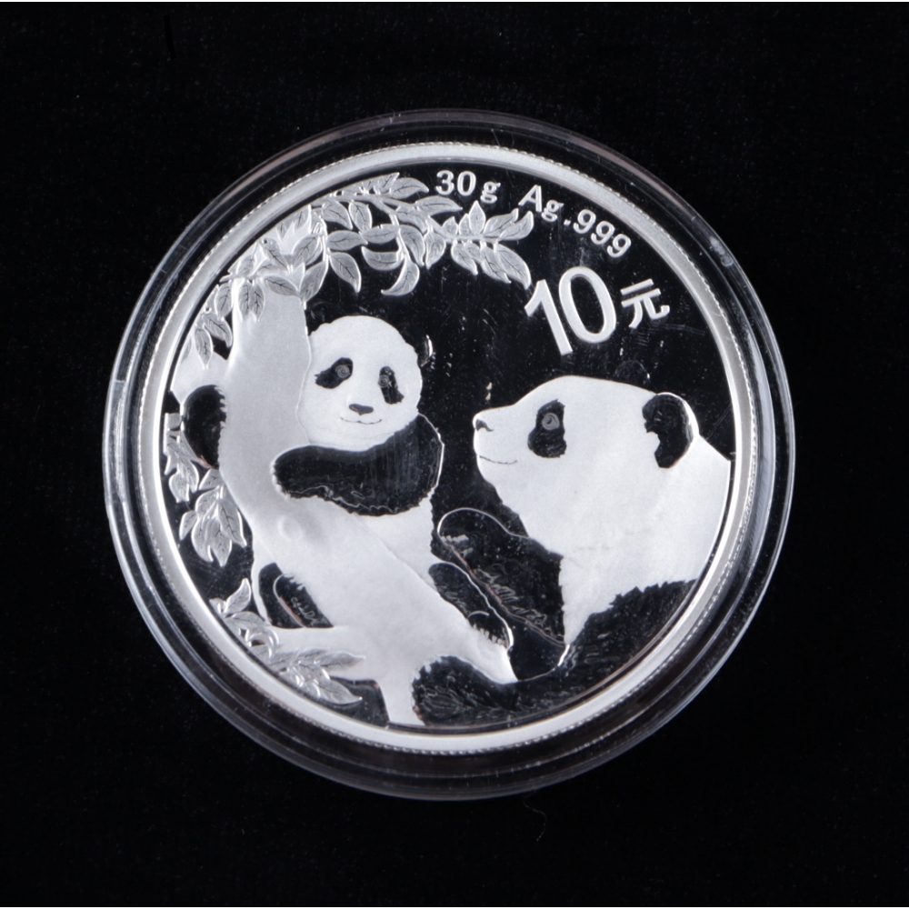 2021 Chinese $10Y Ten-Yuan Silver Panda Coin | Pristine Auction