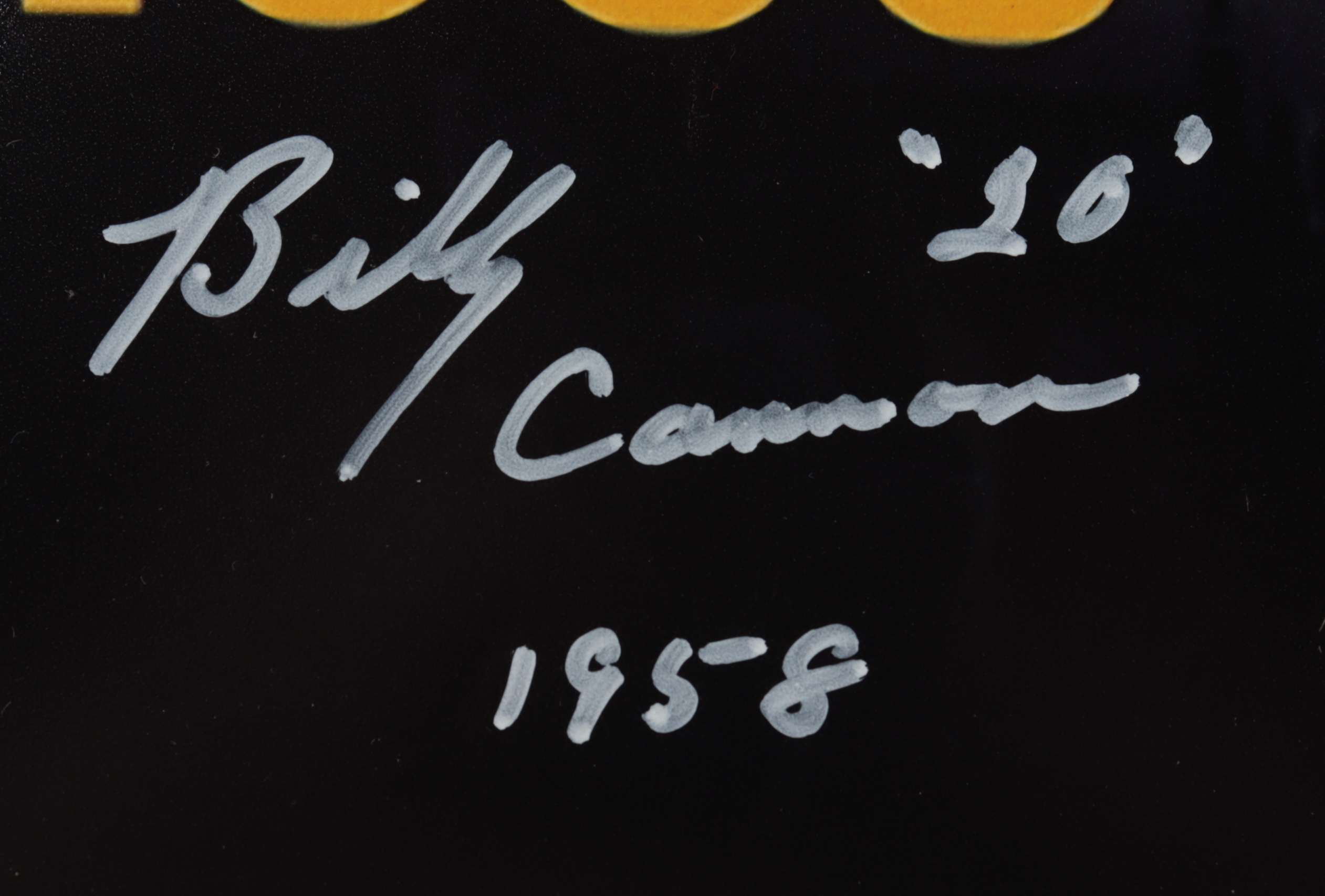 Billy Cannon, Justin Vincent & Jacob Hester Signed LSU Tigers 16x20 ...