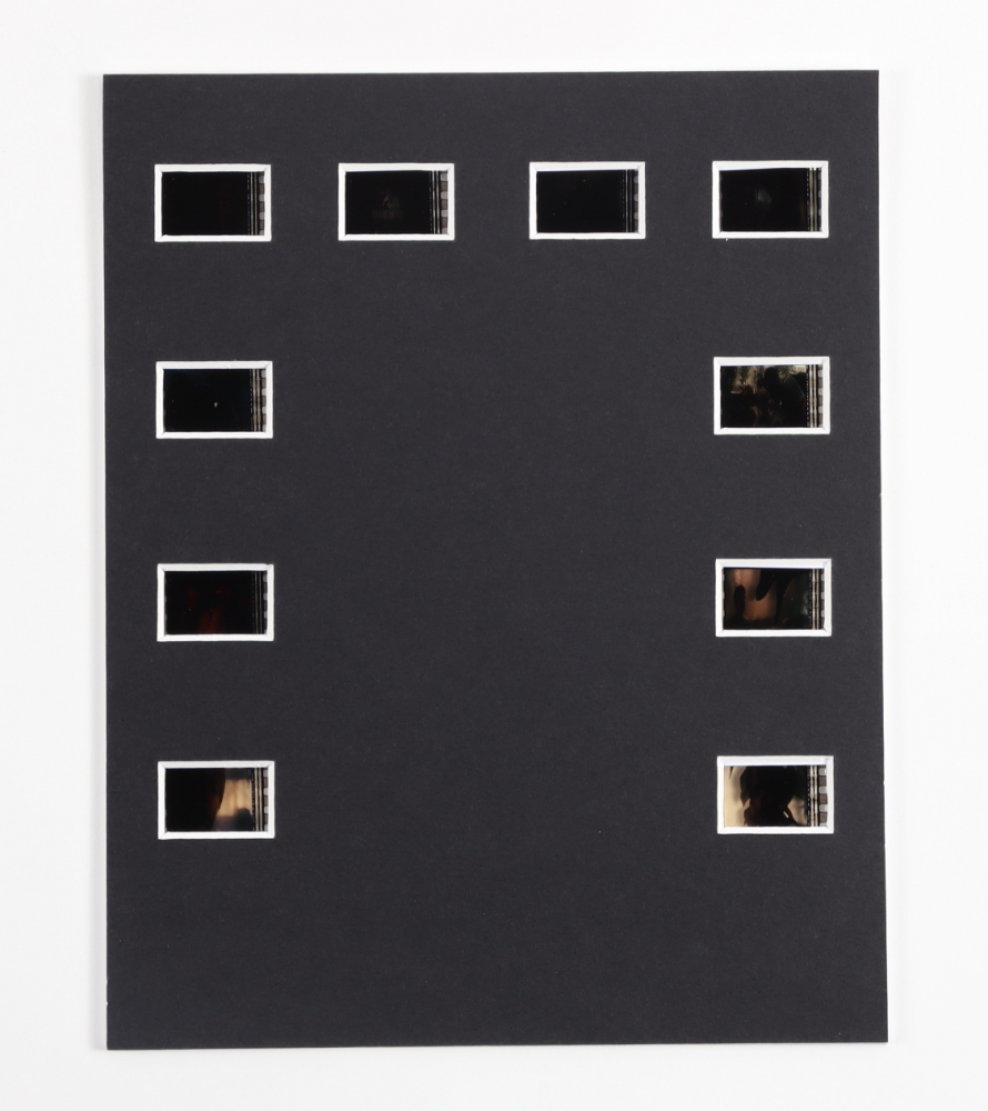 "Jurassic Park III" LE 8x10 Custom Matted Original Film / Movie Cell ...