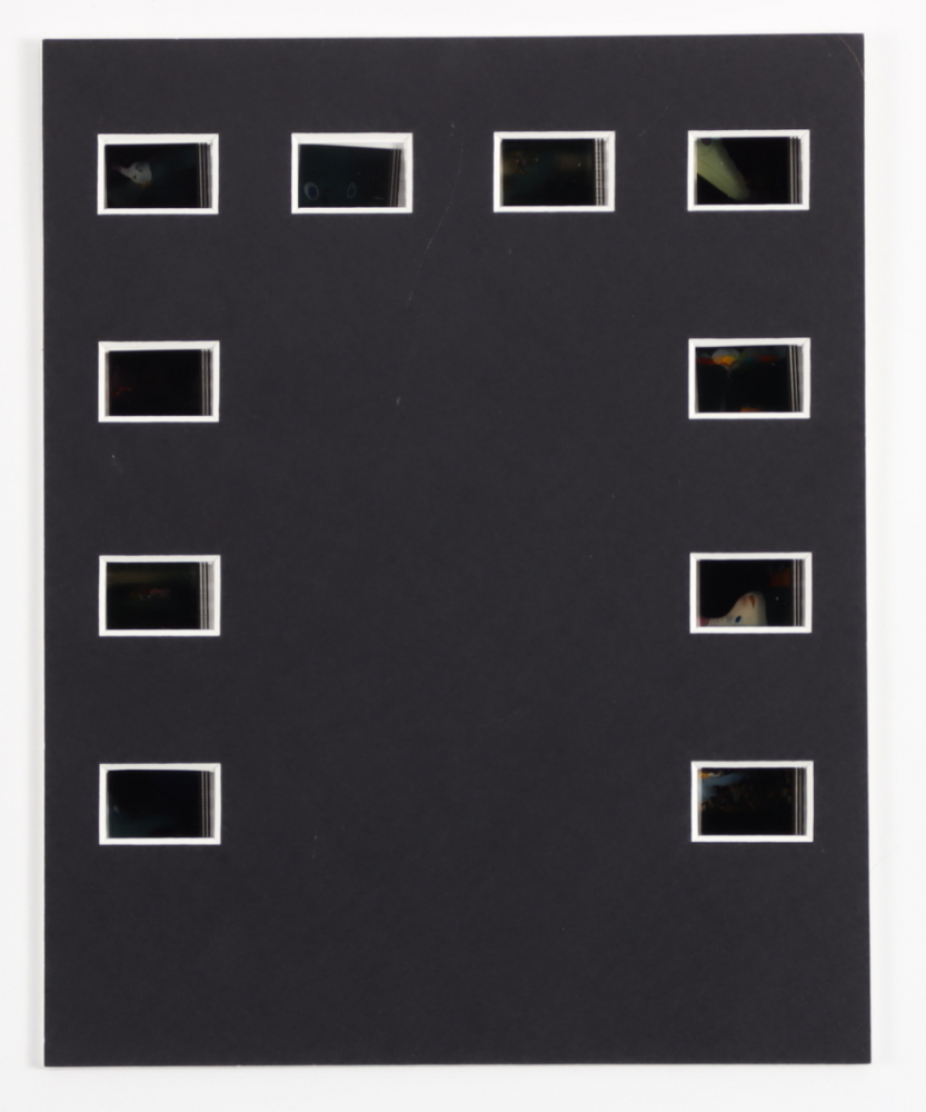 "Dumbo" LE 8x10 Custom Matted Original Film / Movie Cell Display ...