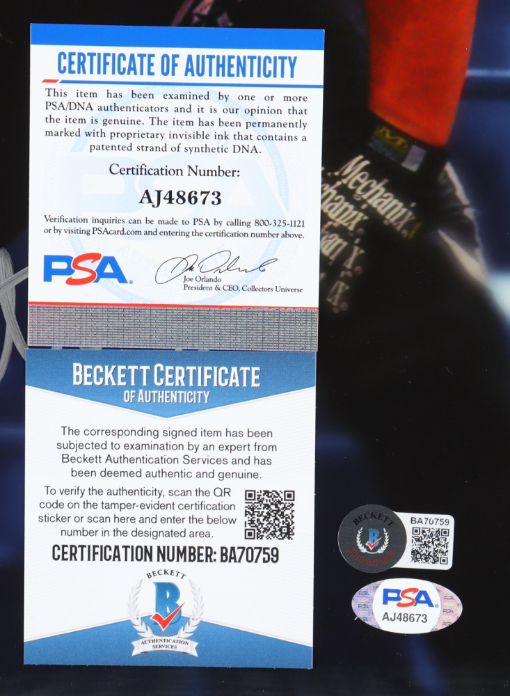 Sting Signed WWE 11x14 Photo (Beckett & PSA) | Pristine Auction