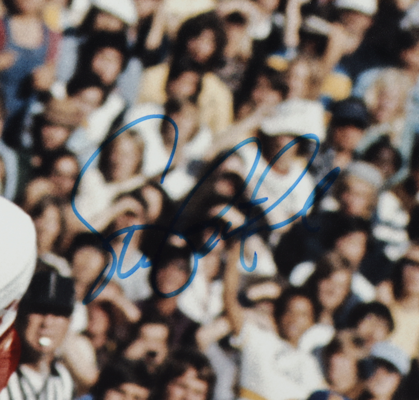 Steve Bartkowski Signed California Golden Bears 16x20 Photo (Radtke COA ...