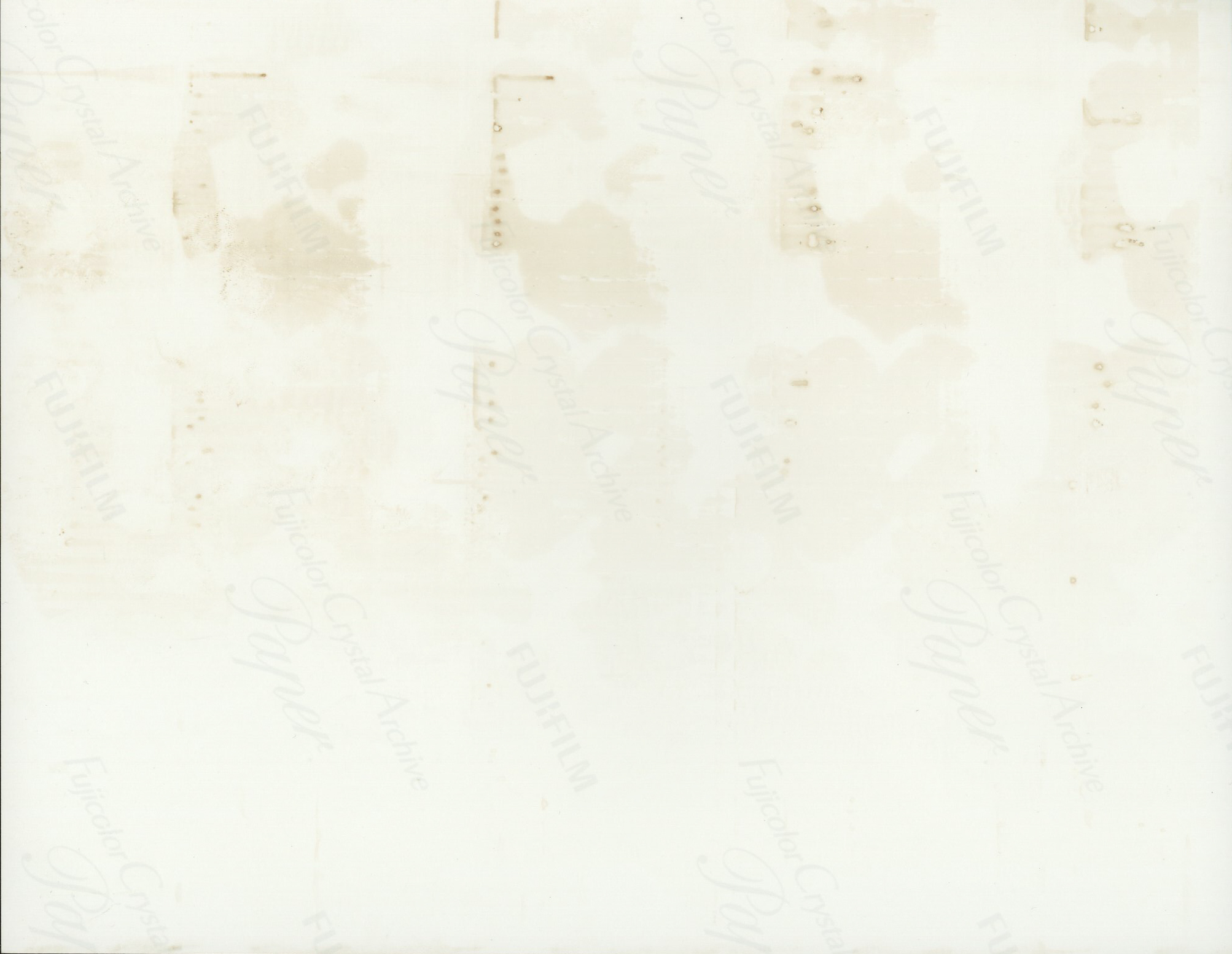 Derek Wingo Signed Florida Gators 8x10 Photo (JSA COA) | Pristine Auction