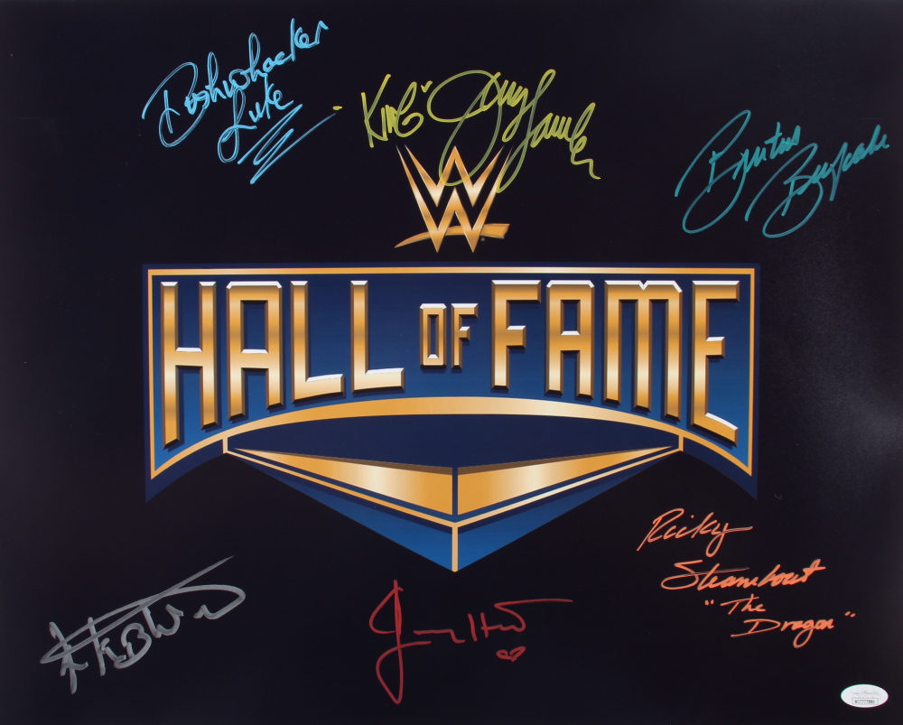 WWE Hall of Fame 16x20 Photo Signed by (6) with Jerry Lawler, Ricky ...