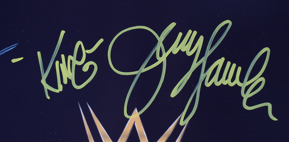 WWE Hall of Fame 16x20 Photo Signed by (6) with Jerry Lawler, Ricky ...