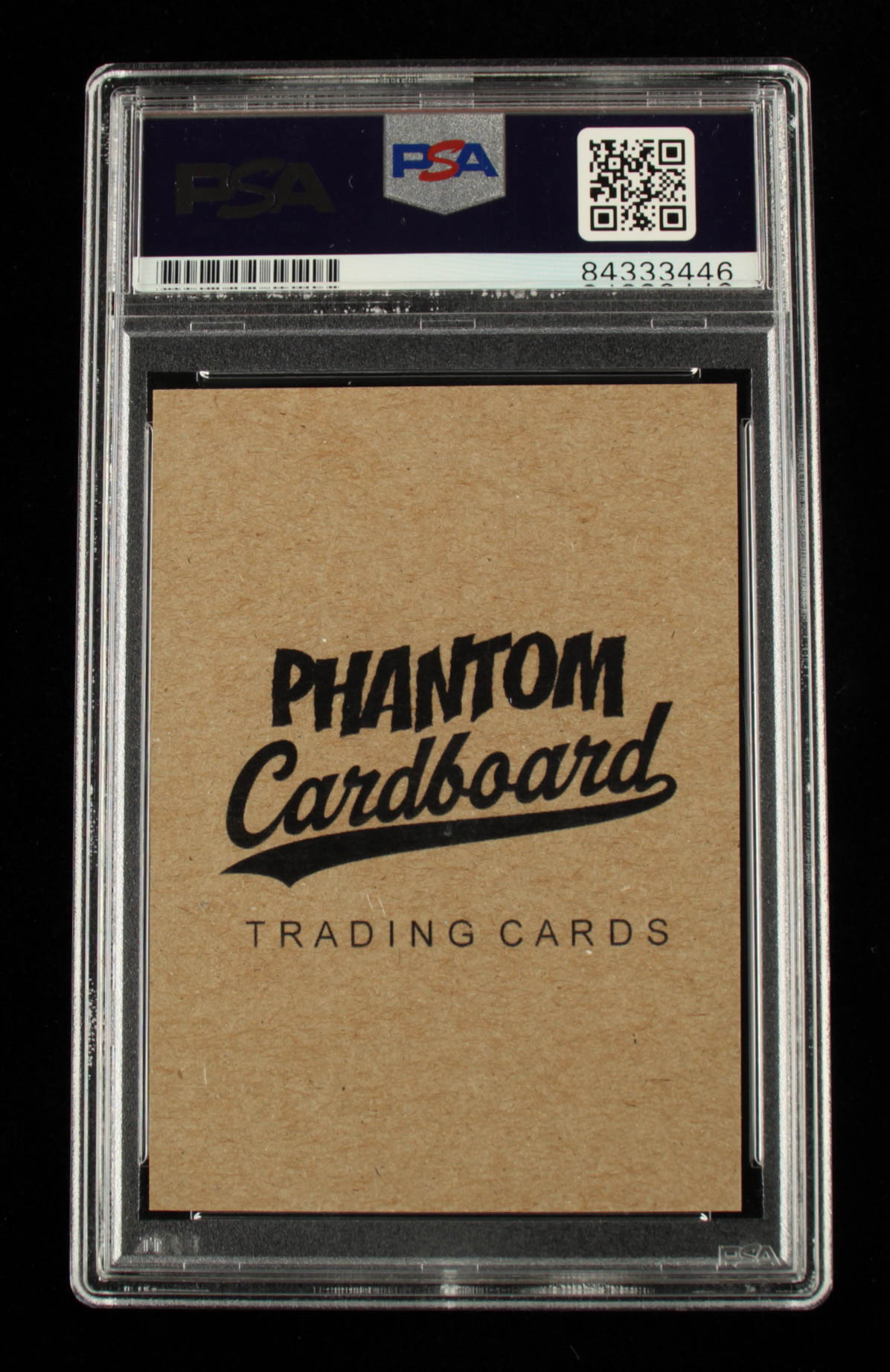 Sean Young Signed "Ace Ventura: Pet Detective" Phantom Cardboard ...