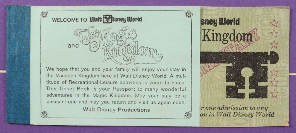 Disneyworld's "Splash Mountain" 15x25 Print Display with Vintage Disney ...