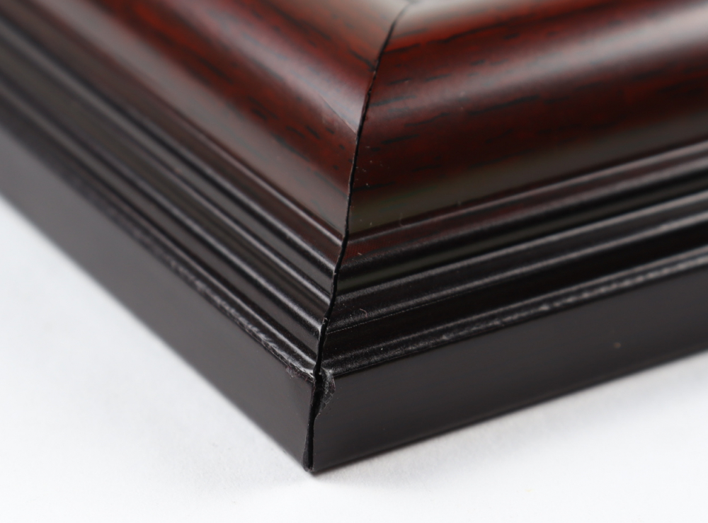 Disneyworld's "Splash Mountain" 15x25 Print Display with Vintage Disney ...