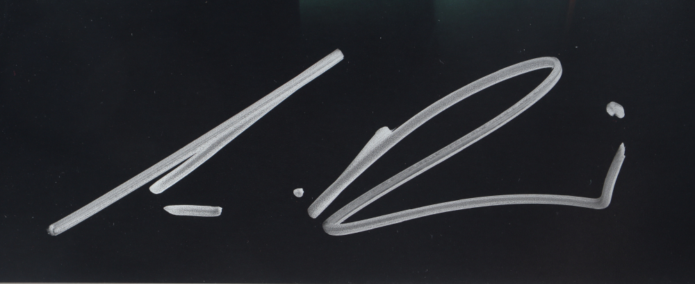 Lavonte David Signed Buccaneers 11x14 Photo (JSA COA) | Pristine Auction