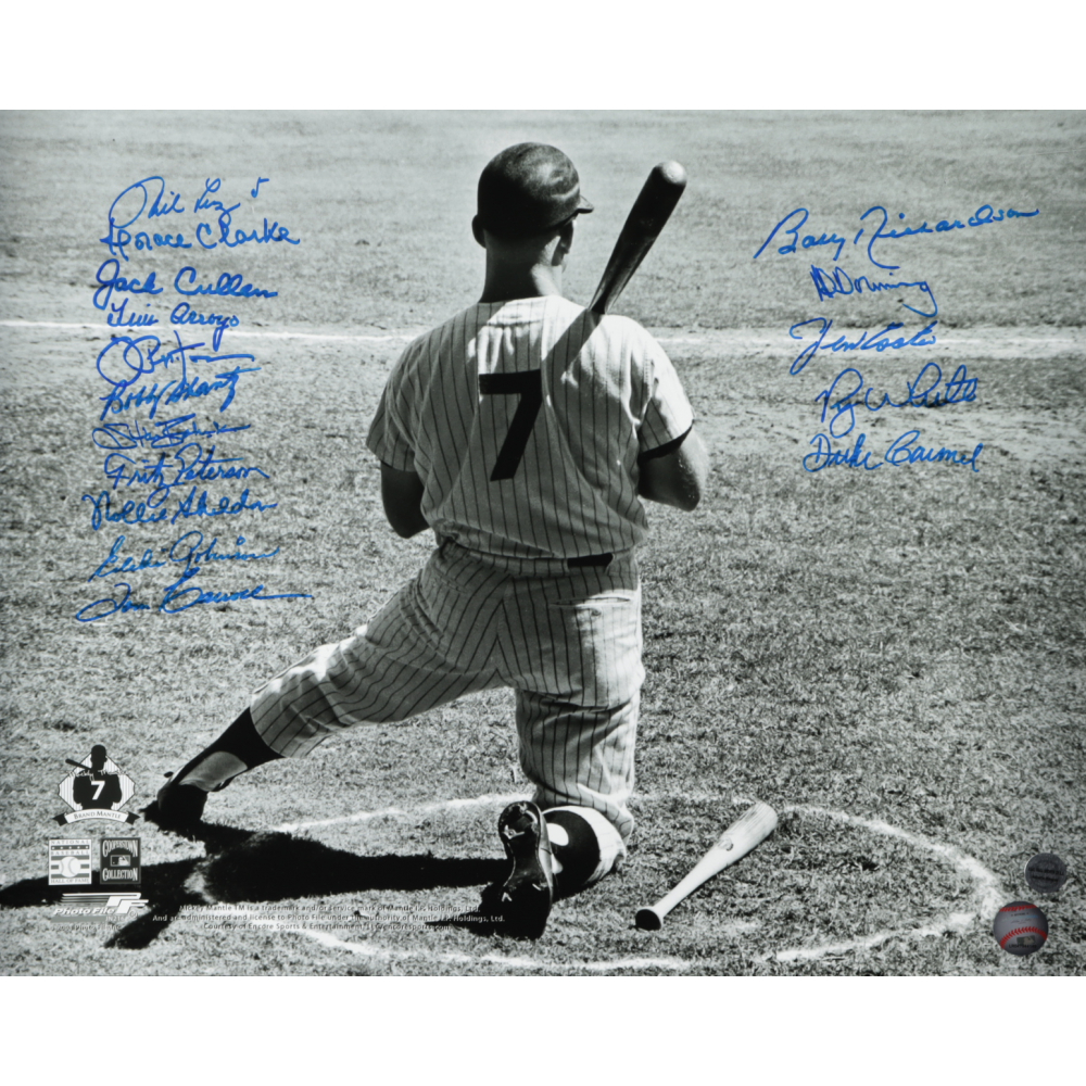 Yankees 16x20 Photo Signed by (16) with Bobby Richardson, Al Downing ...