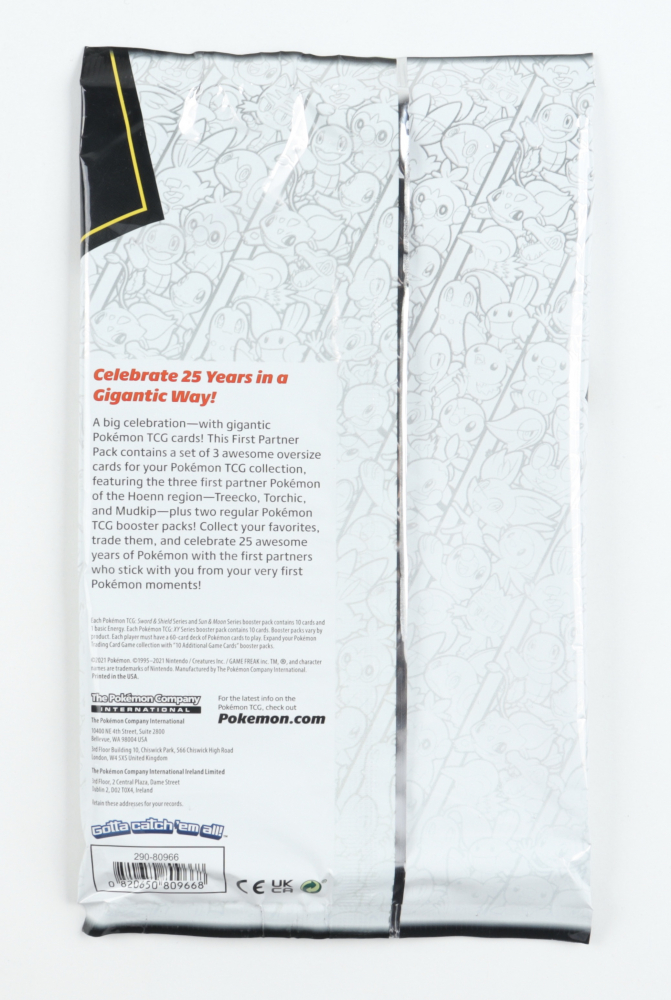 Pokemon TCG: First Partner Pack (Hoenn) with (2) Booster Packs ...