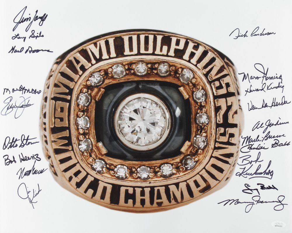 1972 Dolphins Perfect Season 16x20 Photo Signed by (19) with Jim Langer ...