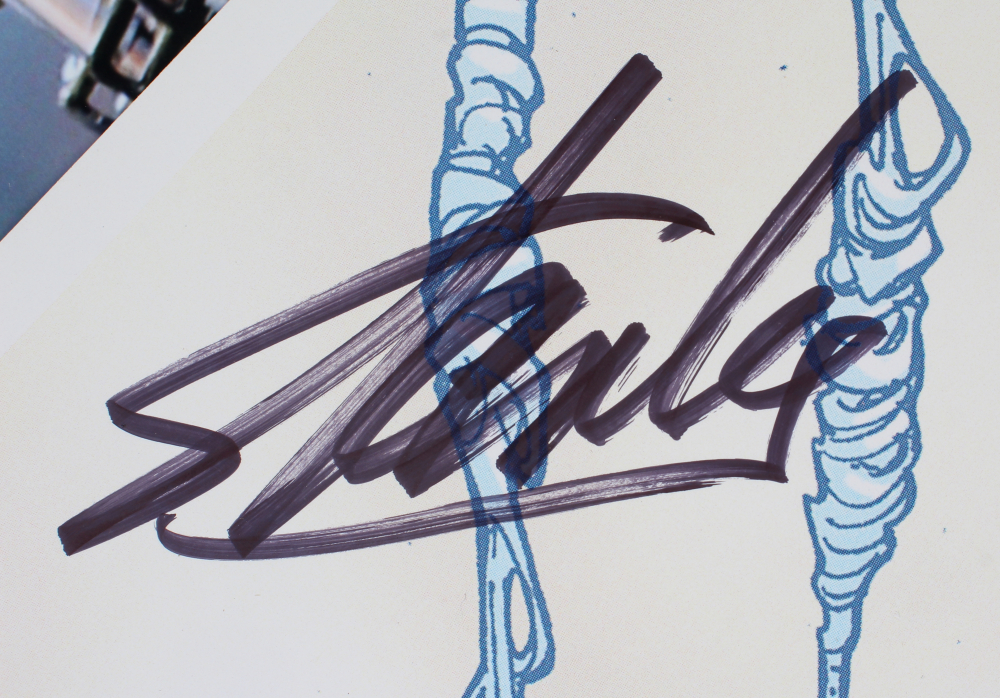 Stan Lee Signed 11x17 "The Superior Spider-Stan" Art Print (JSA COA ...