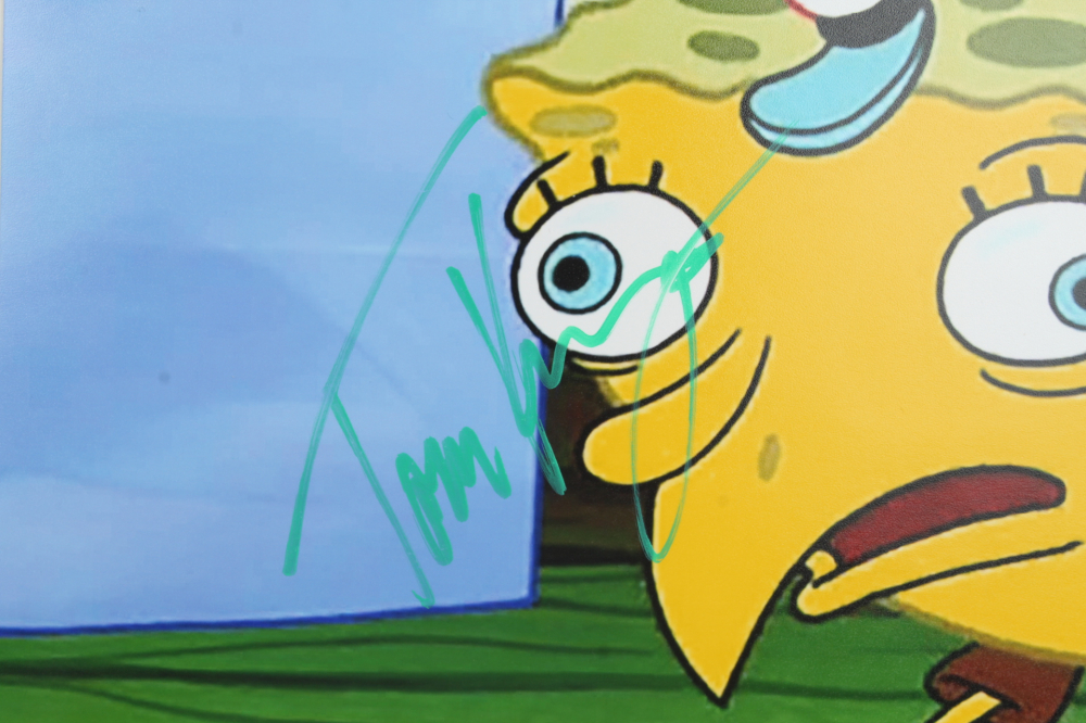 Tom Kenny Signed "SpongeBob SquarePants" 11x14 Photo (JSA Hologram ...