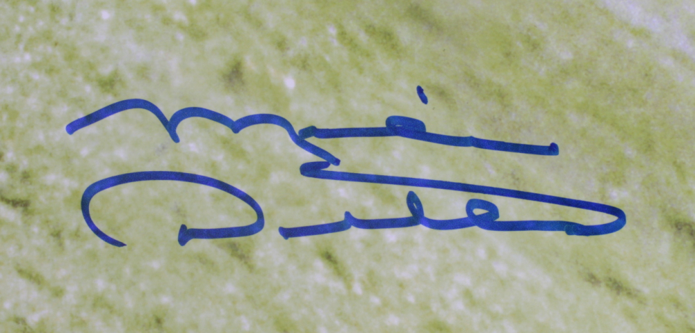 Mike Ditka Signed Bears 16x20 Photo (Beckett COA) | Pristine Auction