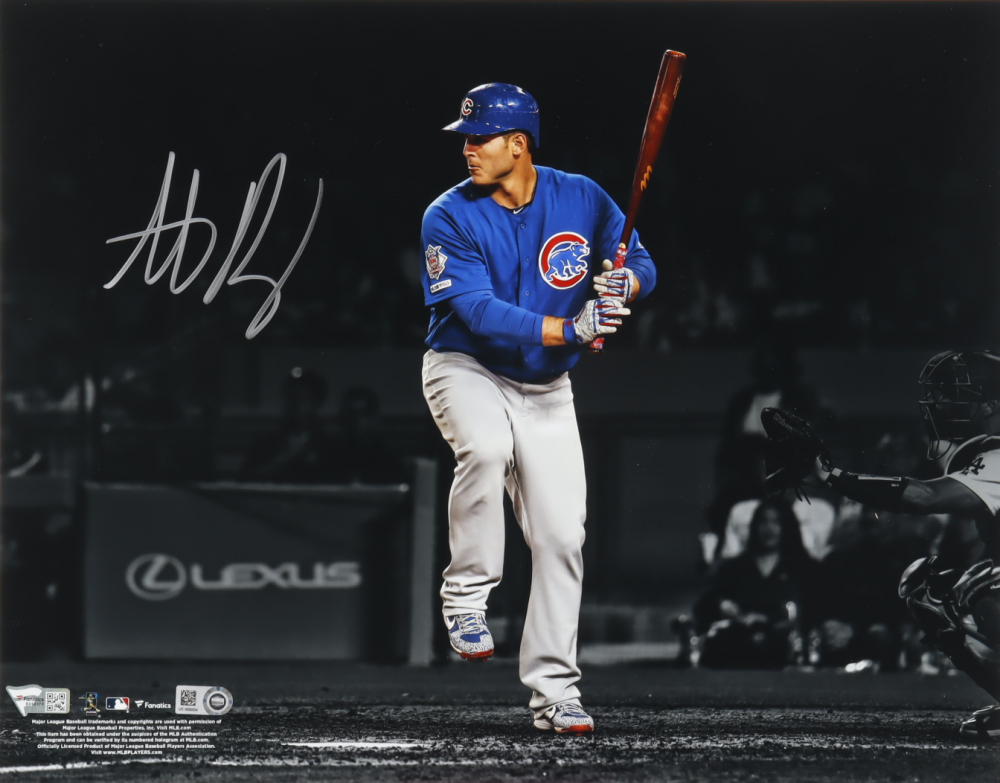 Anthony Rizzo Signed Cubs 11x14 Photo (Fanatics Hologram & MLB Hologram ...
