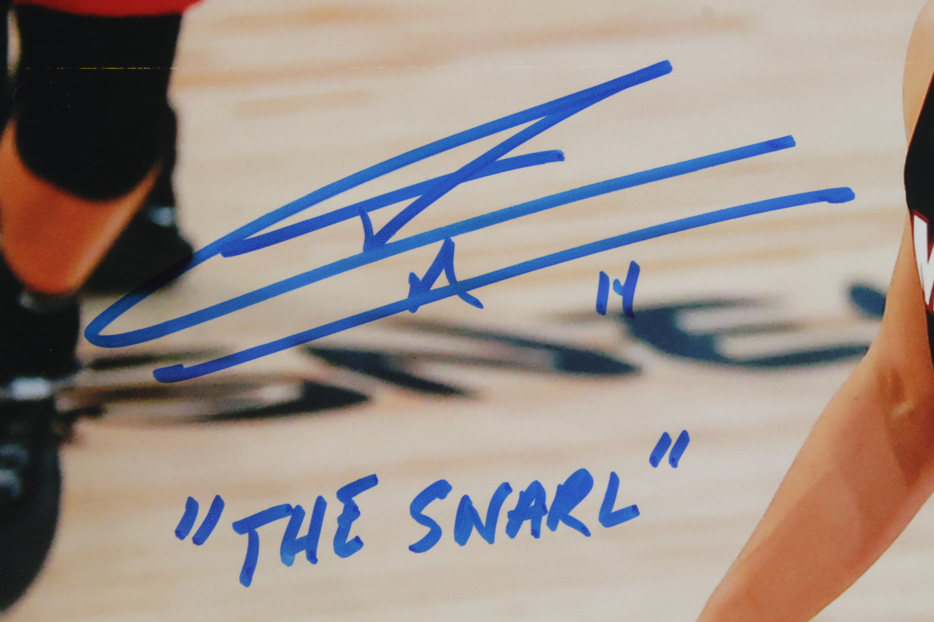 Tyler Herro Signed Heat 11x14 photo Inscribed "The Snarl" (Beckett ...
