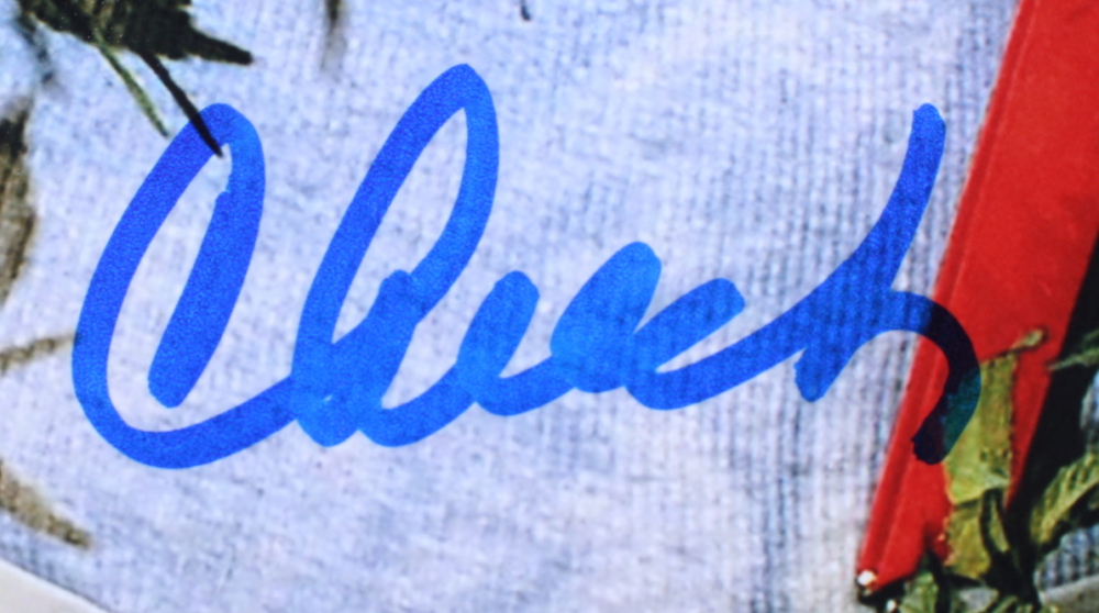 Tommy Chong & Cheech Marin Signed 11x14 Photo (JSA) | Pristine Auction