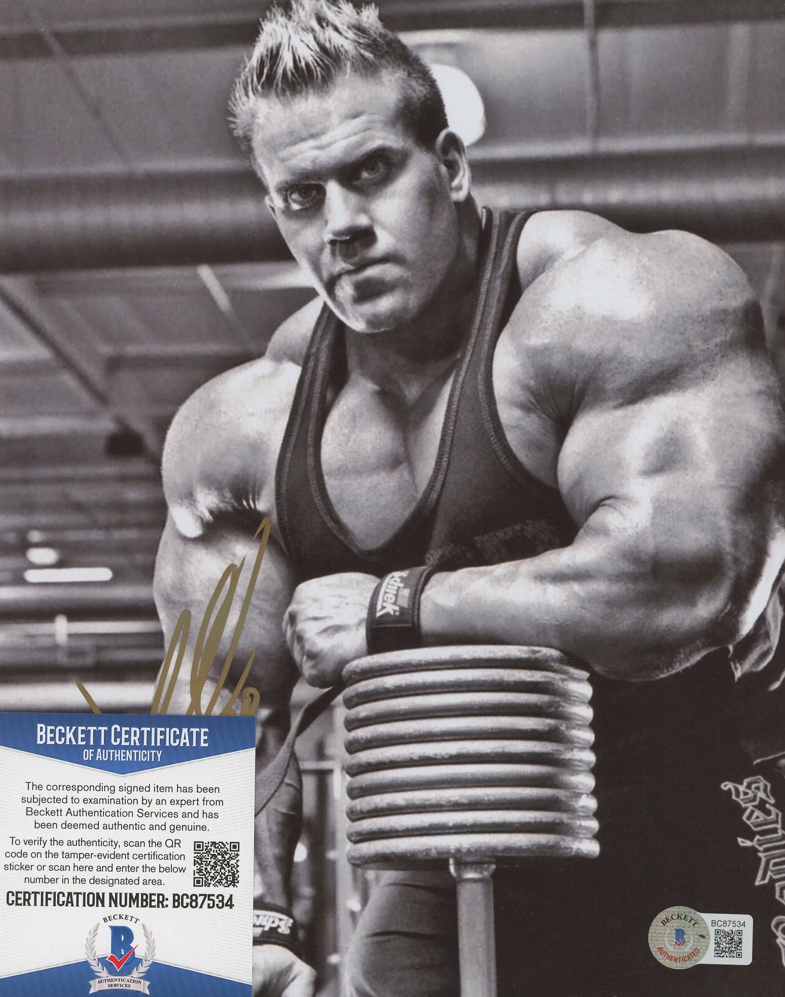 Jay Cutler Signed 8x10 Photo (Beckett) | Pristine Auction