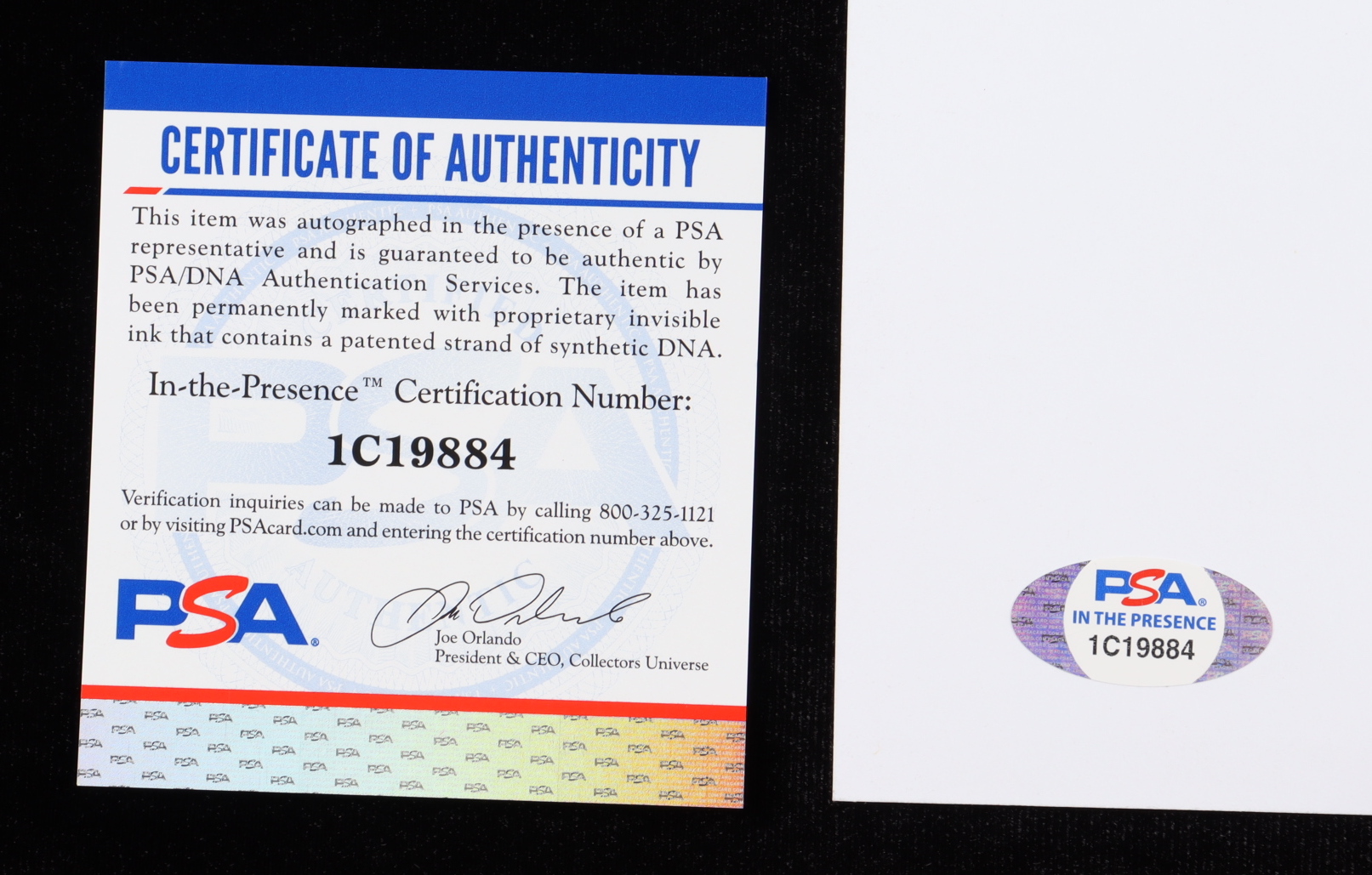 Tone Rodriguez Signed 2021 "Stray Dogs" Issue #1 Image Comic Book with ...