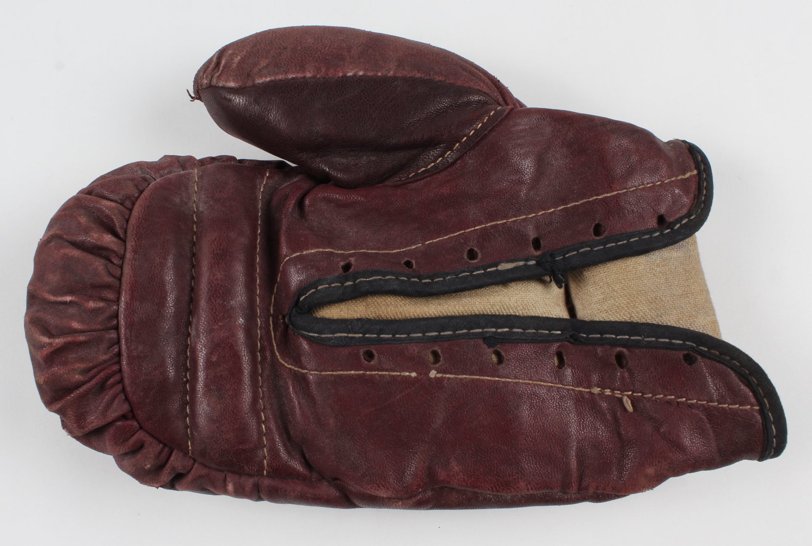 Mike Tyson Signed Higgins Mini Glove With High Quality Display Case ...