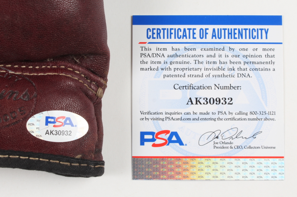 Mike Tyson Signed Higgins Mini Glove With High Quality Display Case ...