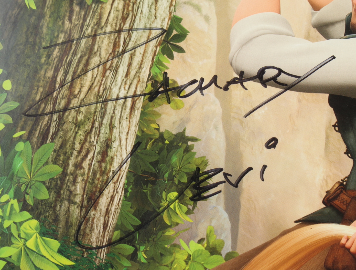 Zachary Levi Signed Disney "Tangled" 22x27 Poster (Beckett) | Pristine ...