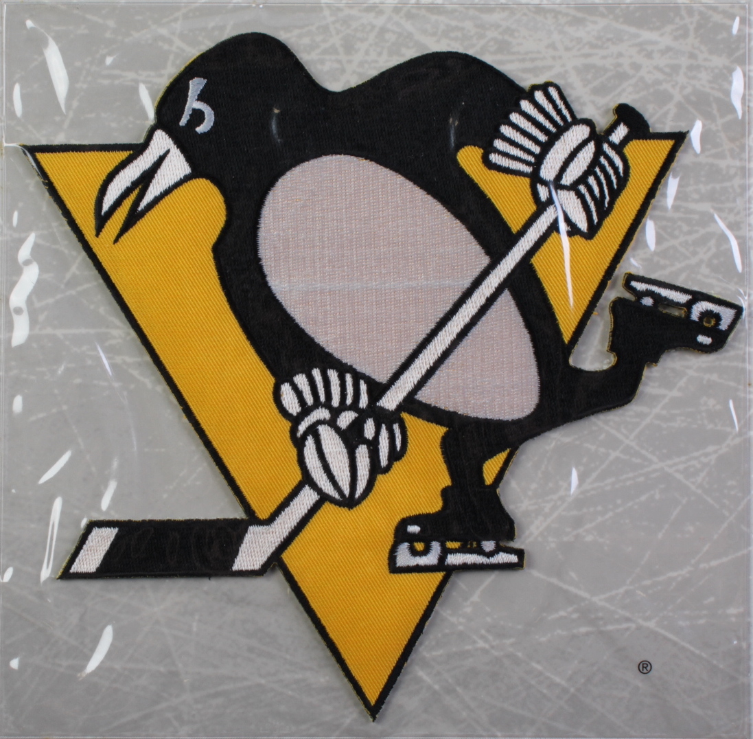 1991 Penguins NHL Statistics Commemorative 9x12 Print With Uniform ...