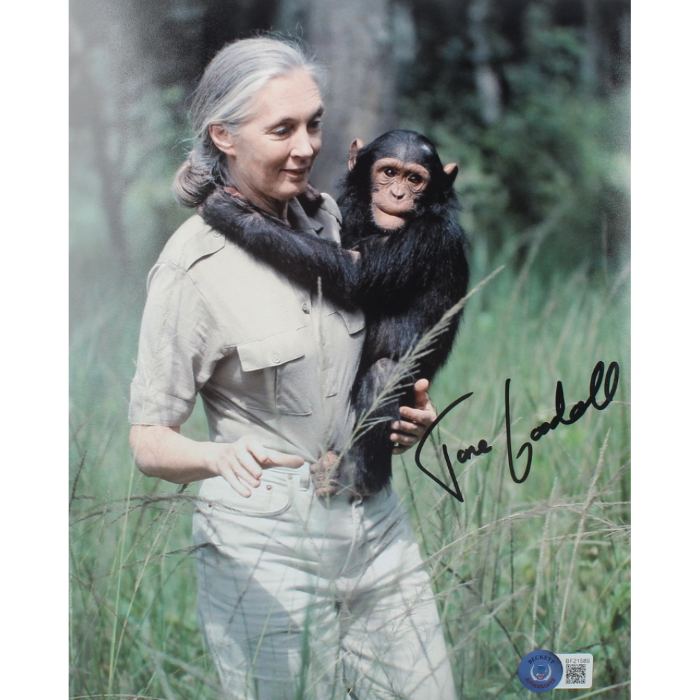 Jane Goodall Signed 8x10 Photo (Beckett) | Pristine Auction