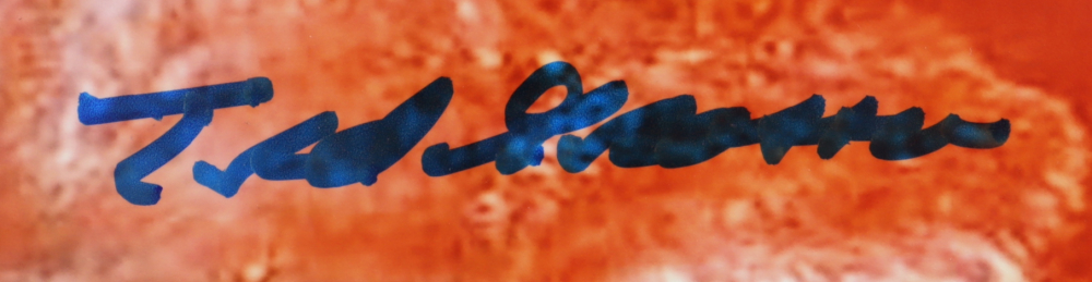 Ted Grossman Signed "Jaws" 11x17 Photo (JSA) | Pristine Auction