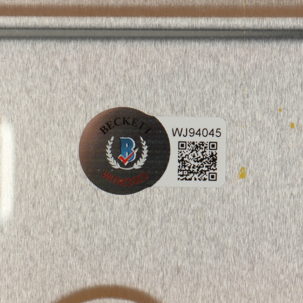 "Christine" License Plate Signed by (4) with Alexandra Paul, William ...